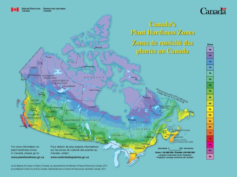 Understanding Hardiness Zones - Canadale