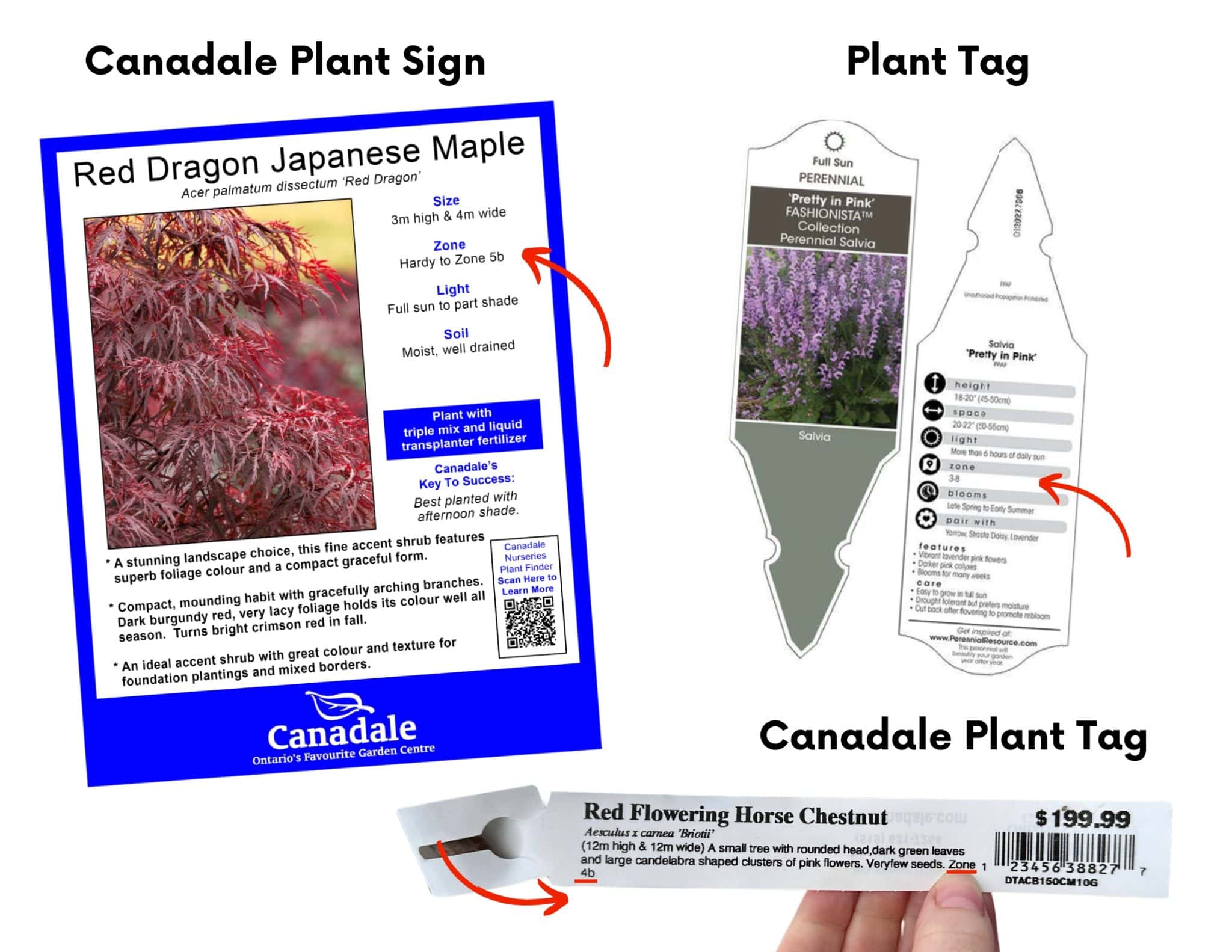 Understanding Hardiness Zones - Canadale